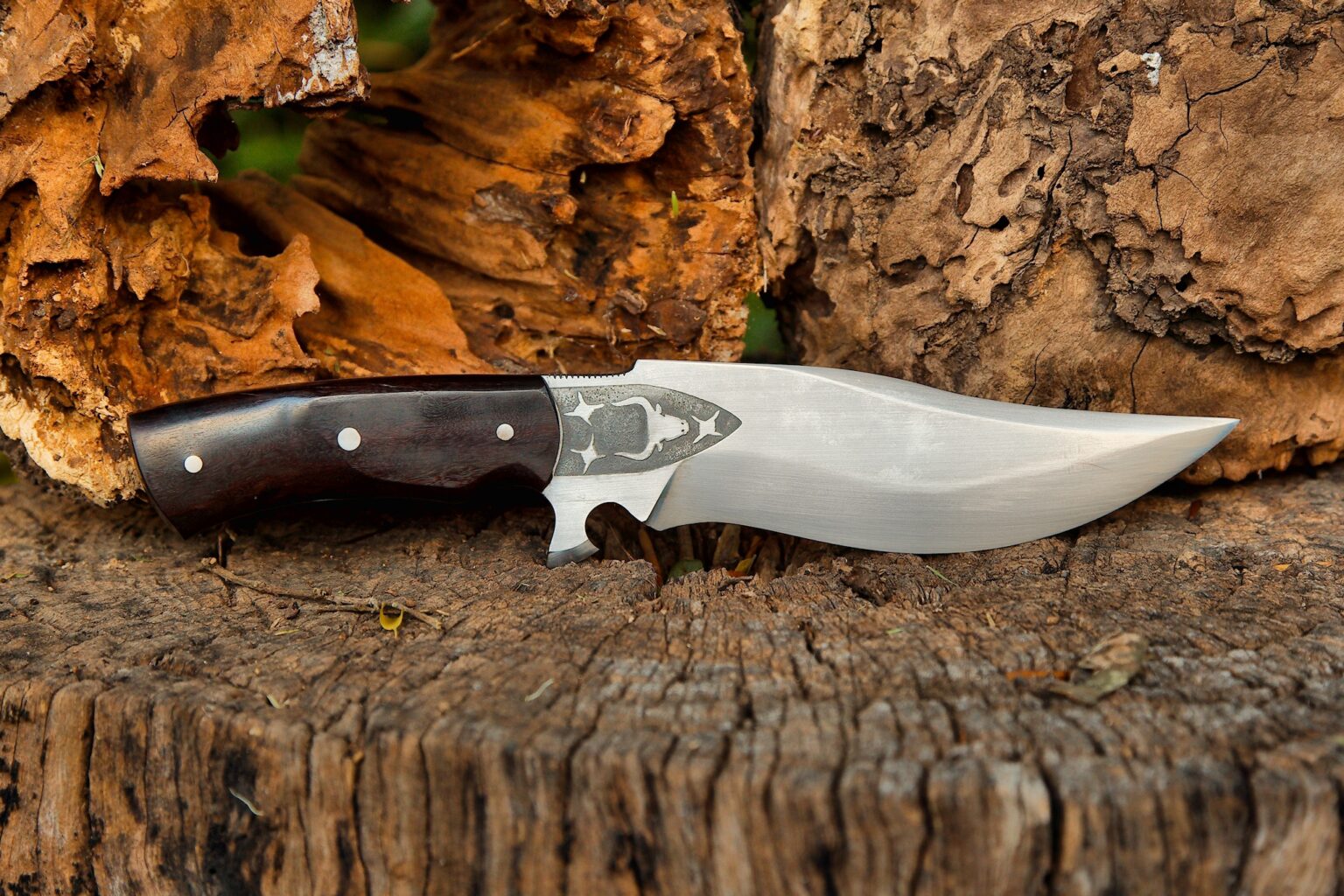 Best Hunting Knives & Their Uses: Complete Guide 2025